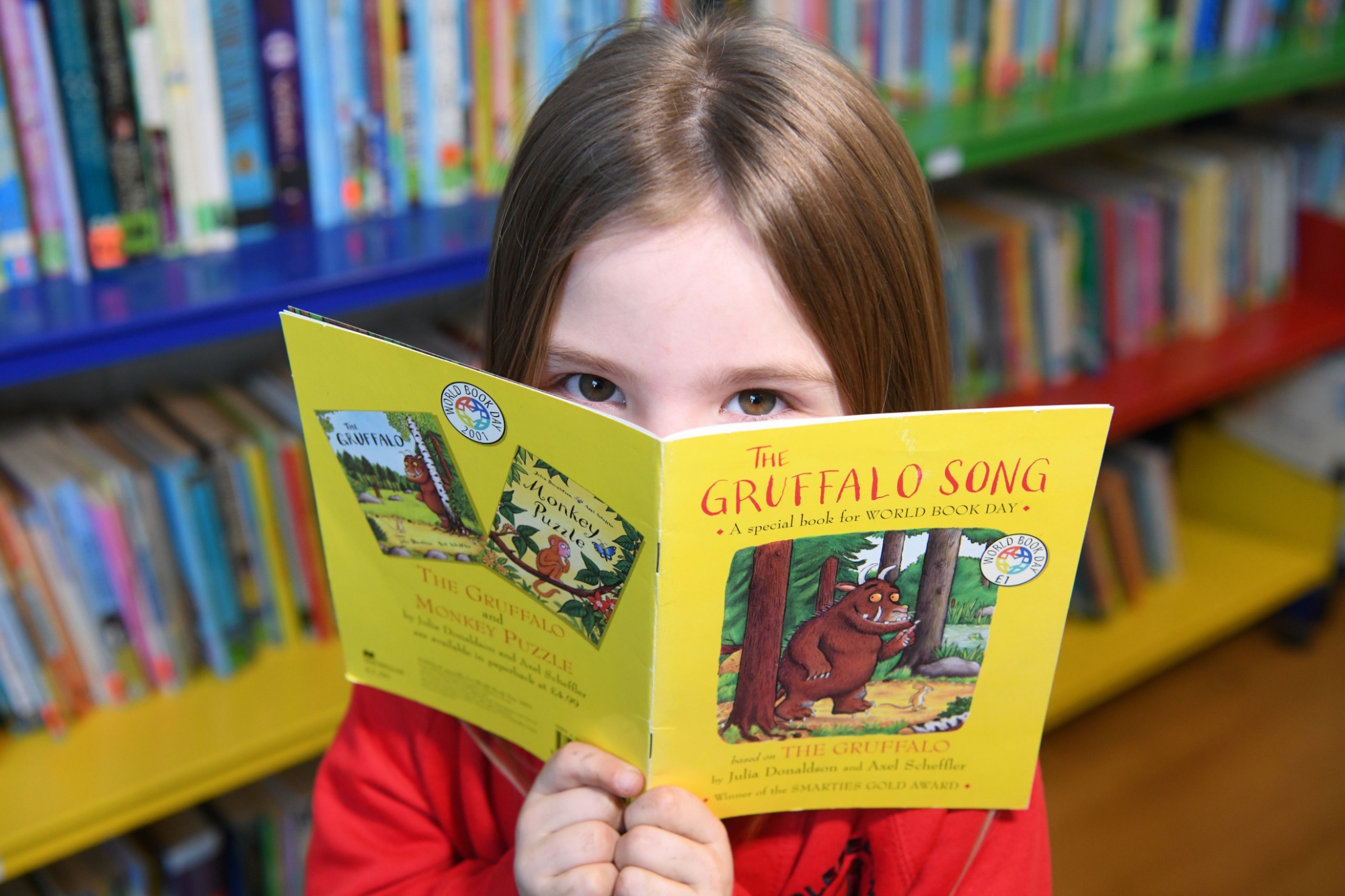 Consortium Trust - Accordions